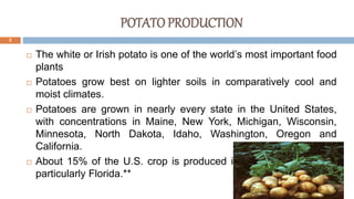 POTATO SNACKS MANUFACTURING | PPTX