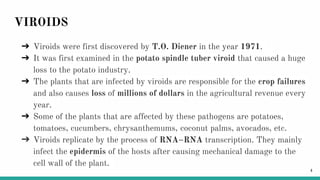 Potato spindle tuber disease VIRIOID DISEASE | PPTX