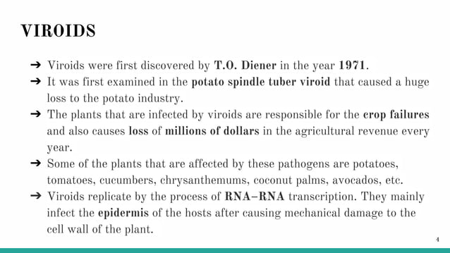 Potato spindle tuber disease VIRIOID DISEASE | PPTX