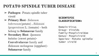 Potato spindle tuber disease VIRIOID DISEASE | PPTX