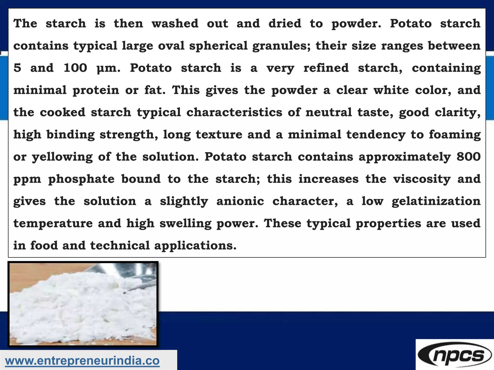 Potato Starch Production | PPTX