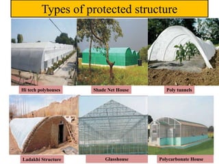 Potenatials of protected cultivation in india | PPTX