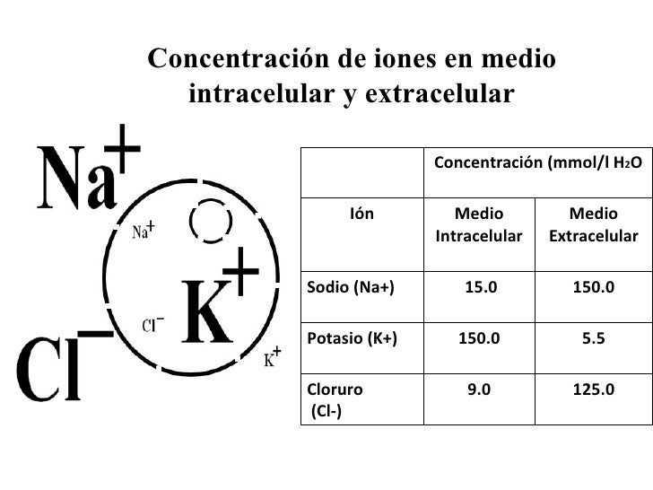 Potencial