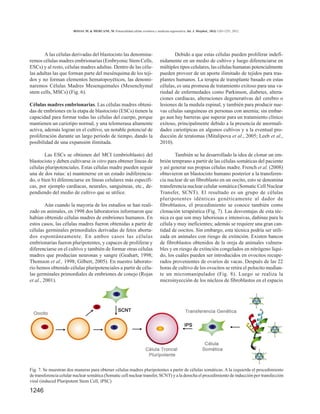 Potencialidad celular evolutiva y medicina regenerativa | PDF