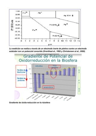 potencial redox del suelo.pdf