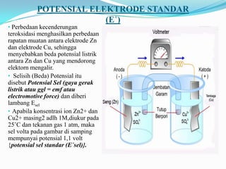 Potensial Sel | PPTX