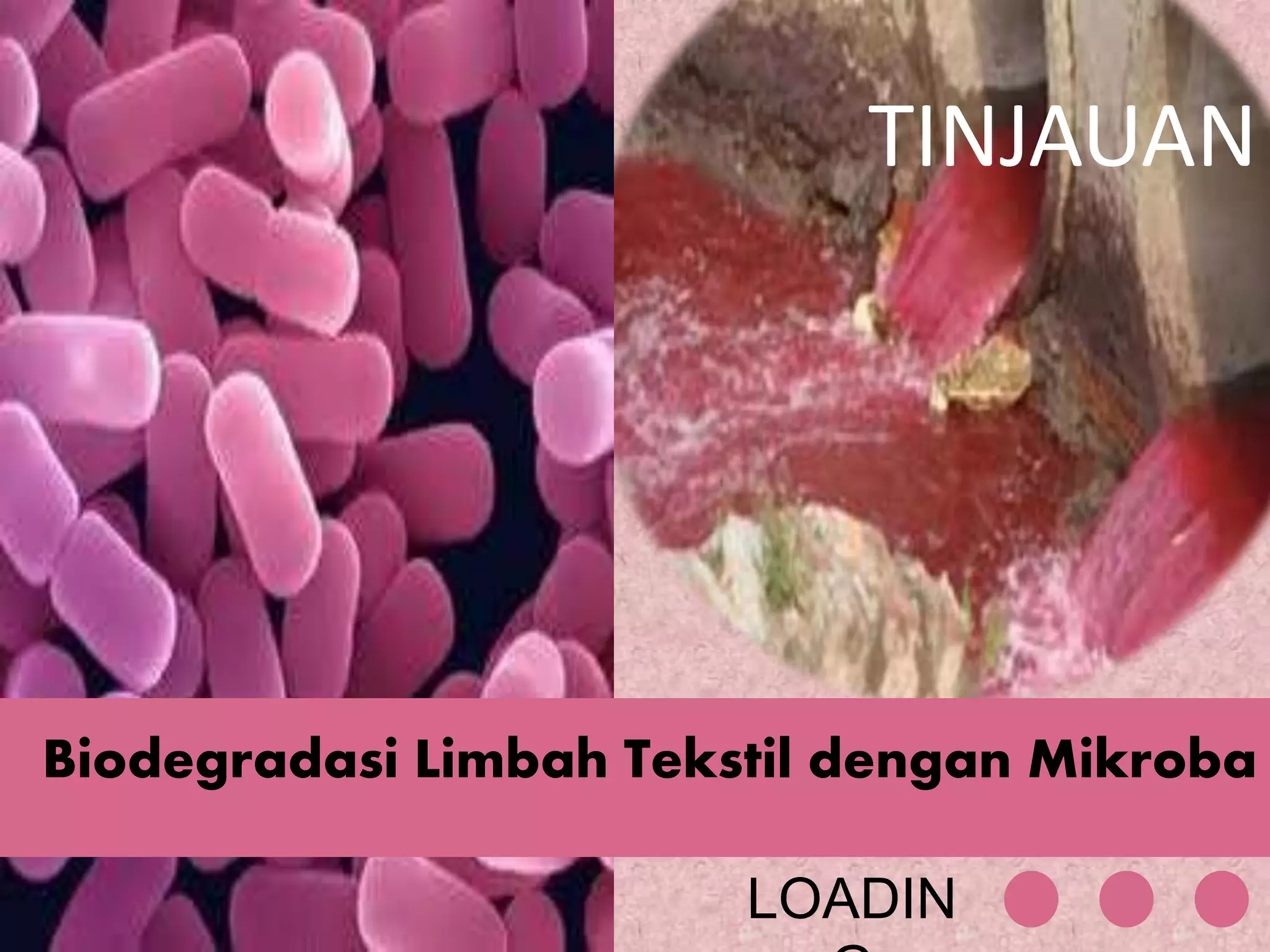 Potensi biodegradasi limbah cair tekstil | PPTX