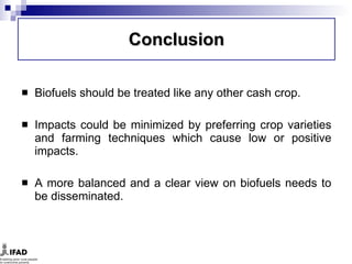 Potential of biofuels for reducing poverty | PPT