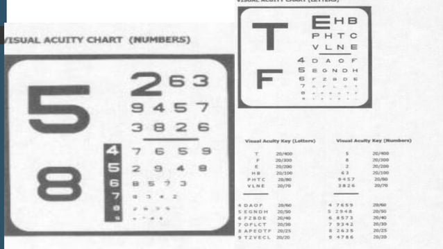 Potential acuity meter | PDF