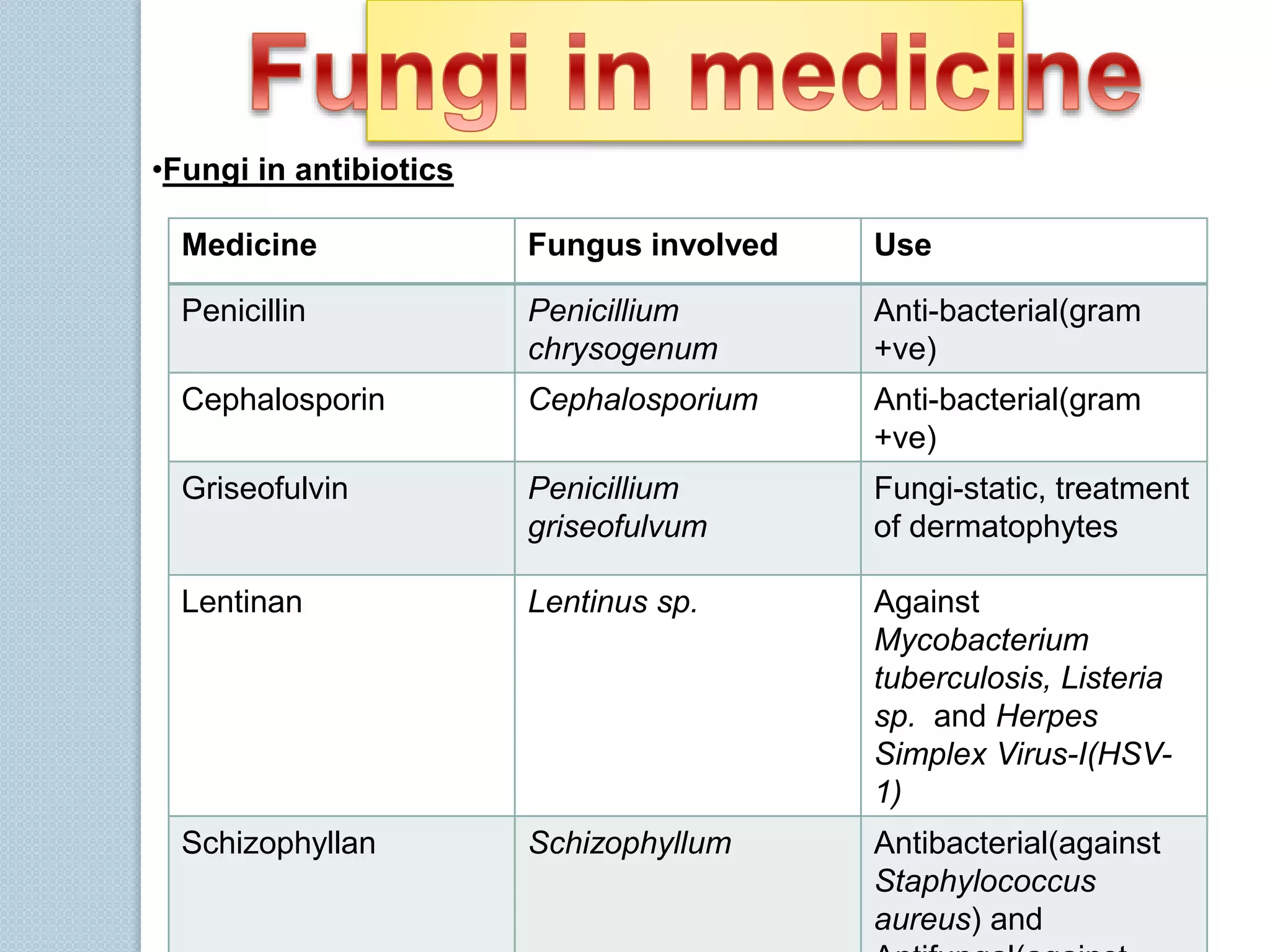 Potential application of fungi in industry final | PPTX