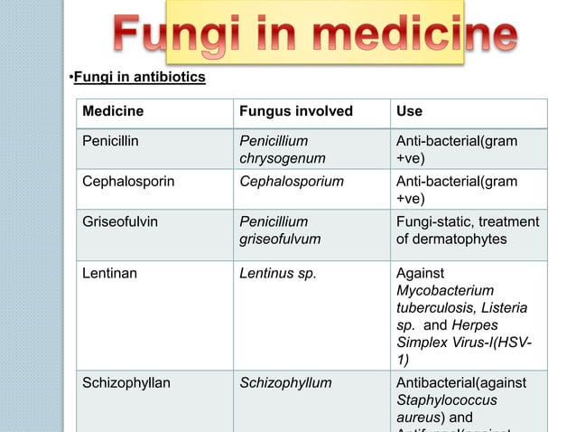 Potential application of fungi in industry final | PPTX | Chemistry ...