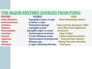 Potential application of fungi in industry final | PPTX
