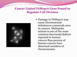 Potential biomarker for cancer diagnosis identified and cancer linked | PPT