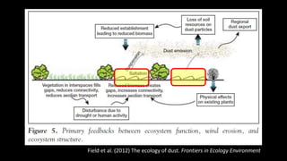 Potential for mitigating wind erosion in the sonoran desert | PPT
