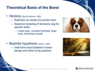 Potential health benefits of pets for older adults findings from the ...