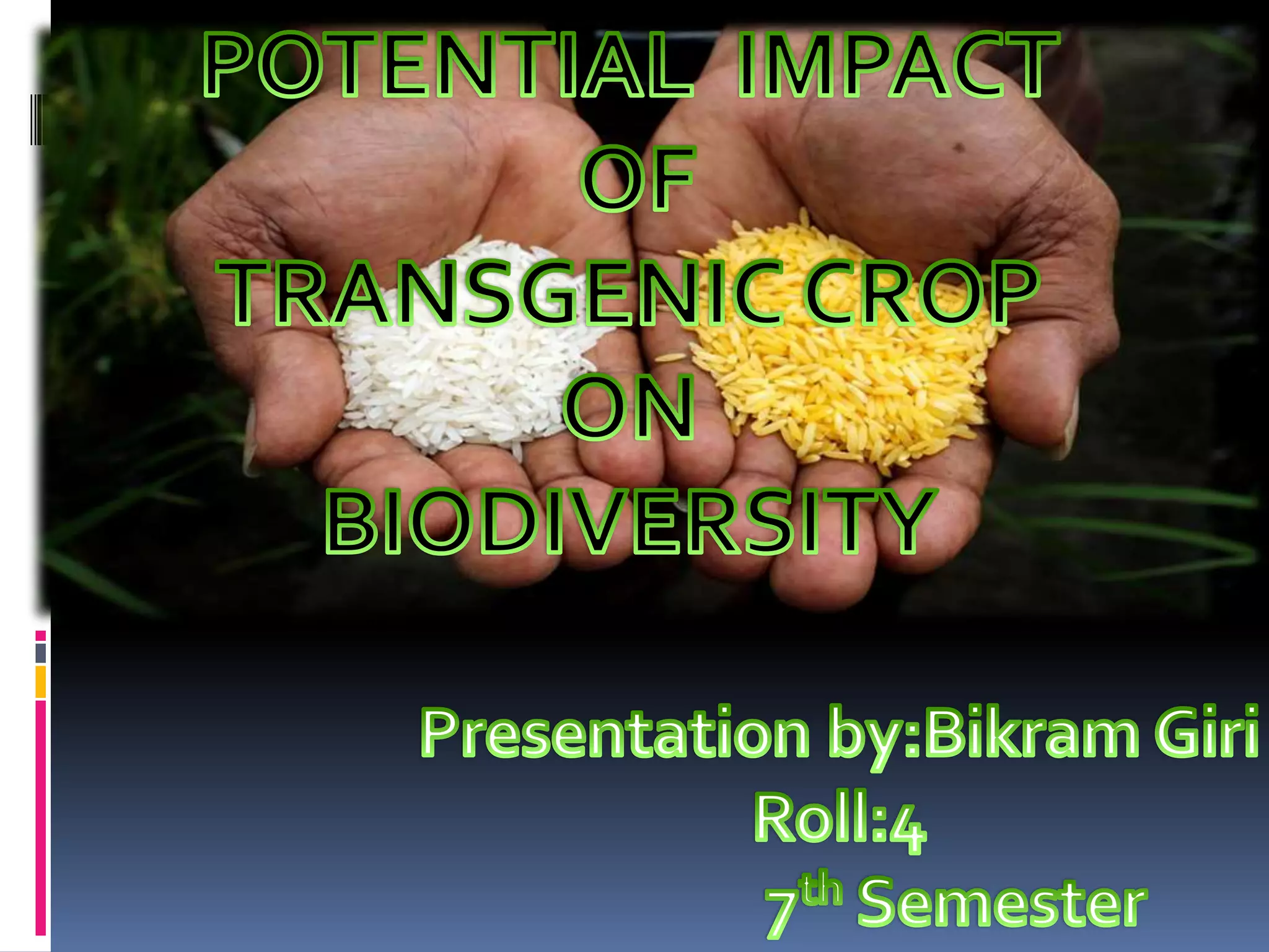 Potential impact of transgenic crops(GMOs) on biodiversity | PPTX