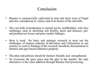 Potentialities and constraints of banana production in Nepal- Saroj ...