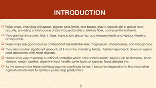Potential of Nano Urea and Nano DAP in Pulse Crops | PPTX