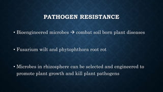 Potential of recombinant dna technology | PPTX