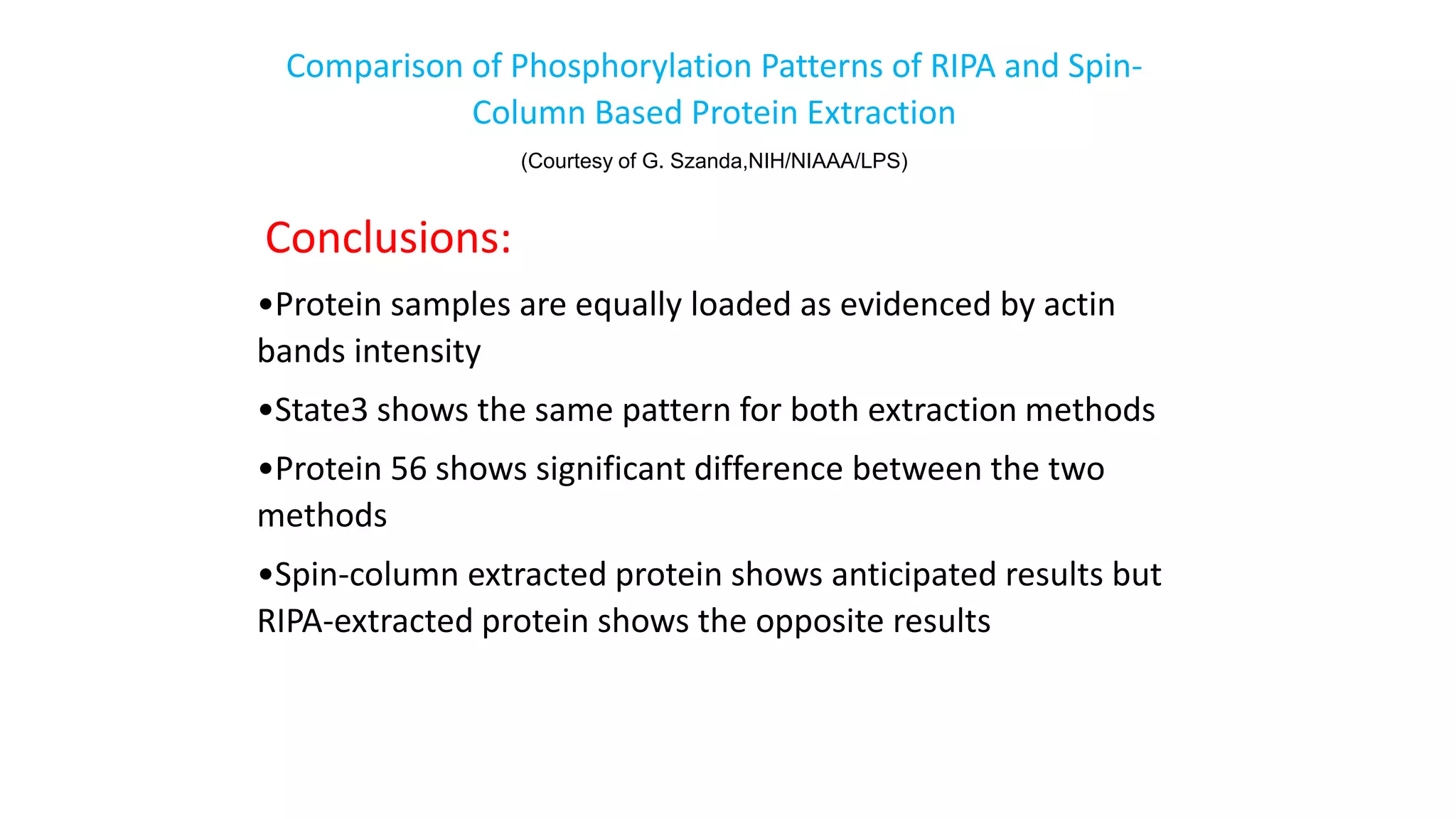 Potential problems of protein extraction using ripa buffer - Invent ...