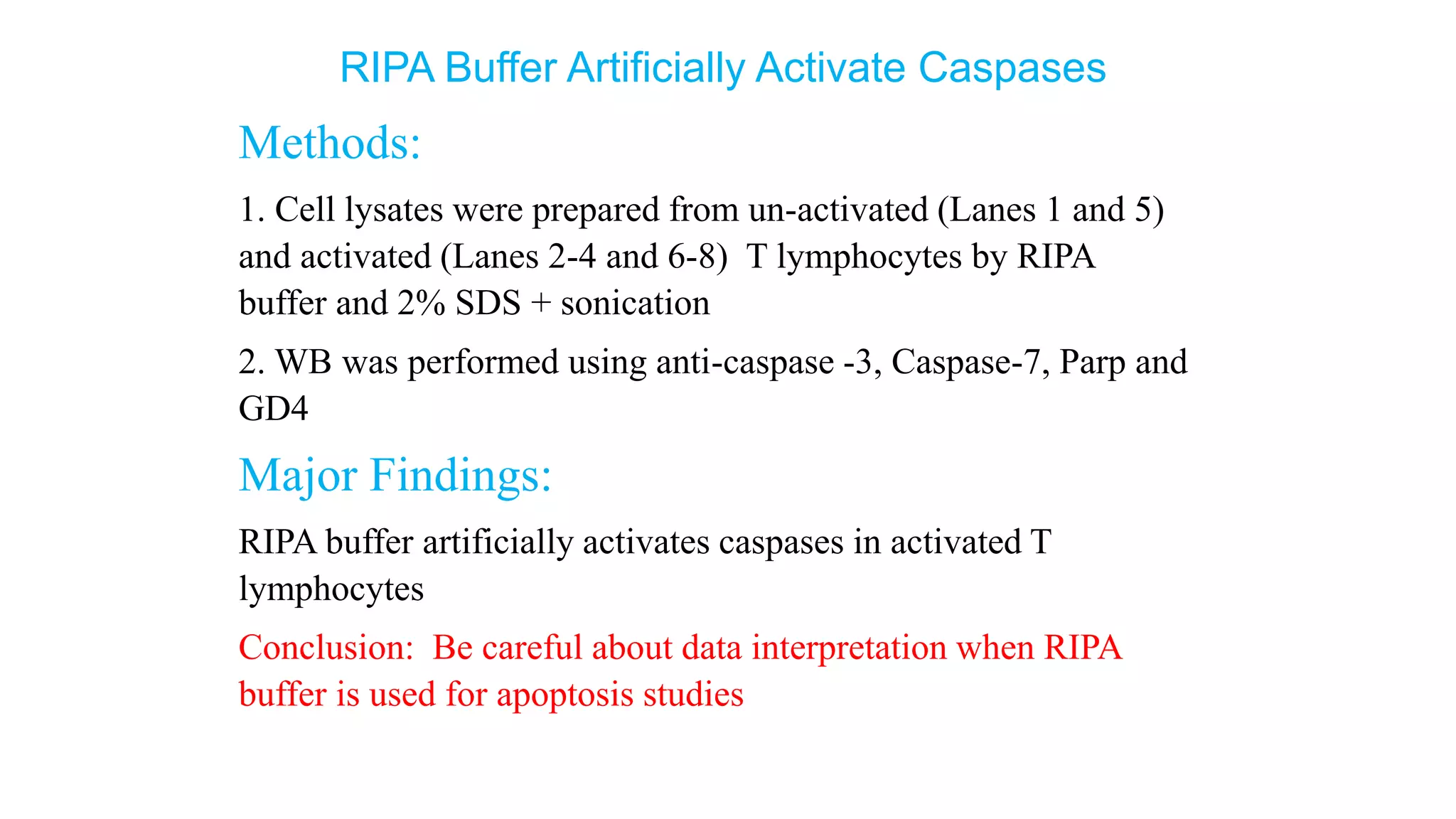 Potential problems of protein extraction using ripa buffer - Invent ...