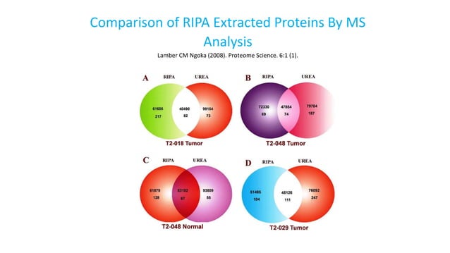 Potential problems of protein extraction using ripa buffer - Invent ...