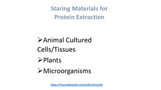 Potential problems of protein extraction using ripa buffer - Invent Biotechnologies | PPT