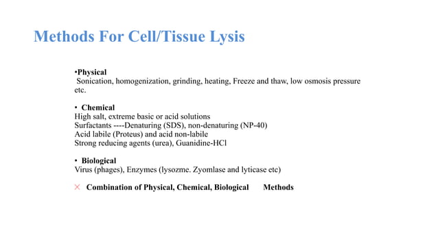Potential problems of protein extraction using ripa buffer - Invent ...