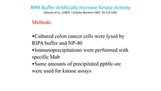 Potential problems of protein extraction using ripa buffer - Invent ...