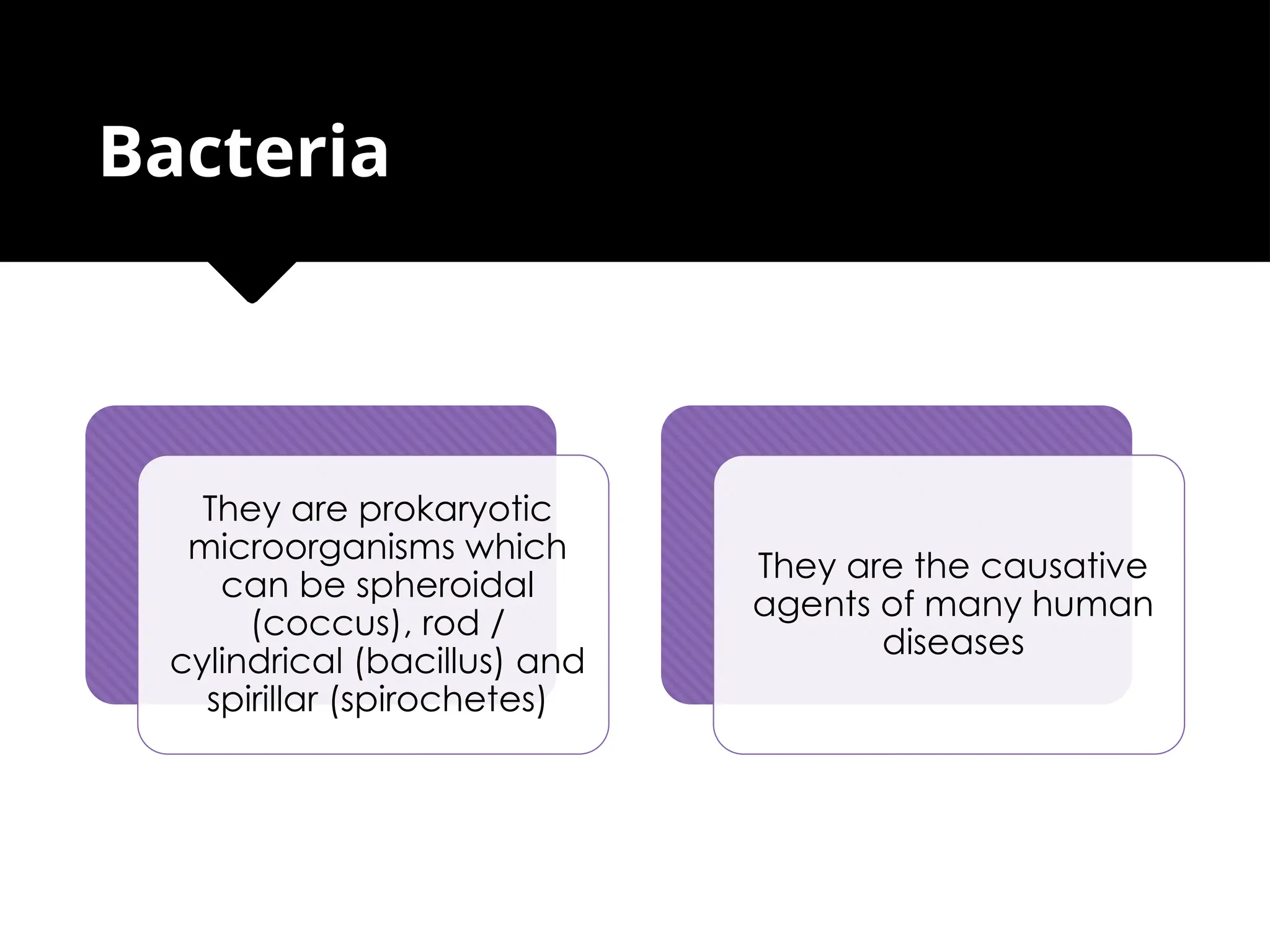 Oral Manifestation of Bacterial Manifestation- TUBERCULOSIS SYPHILIS ...
