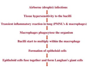 Oral Manifestation of Bacterial Manifestation- TUBERCULOSIS SYPHILIS ...