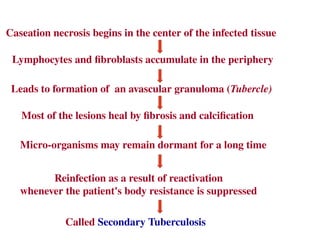 Oral Manifestation of Bacterial Manifestation- TUBERCULOSIS SYPHILIS ...