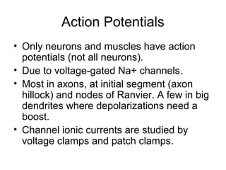 Potentials lectures 10_12 | PPT