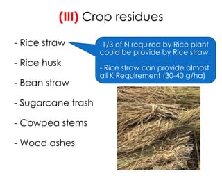Potentials of integrated nutrient management systems in rice ...