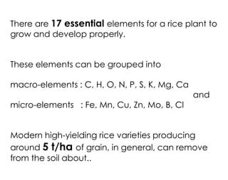 Potentials of integrated nutrient management systems in rice ...