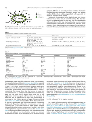 Potential use of algae for heavy metal bioremediation, a critical ...