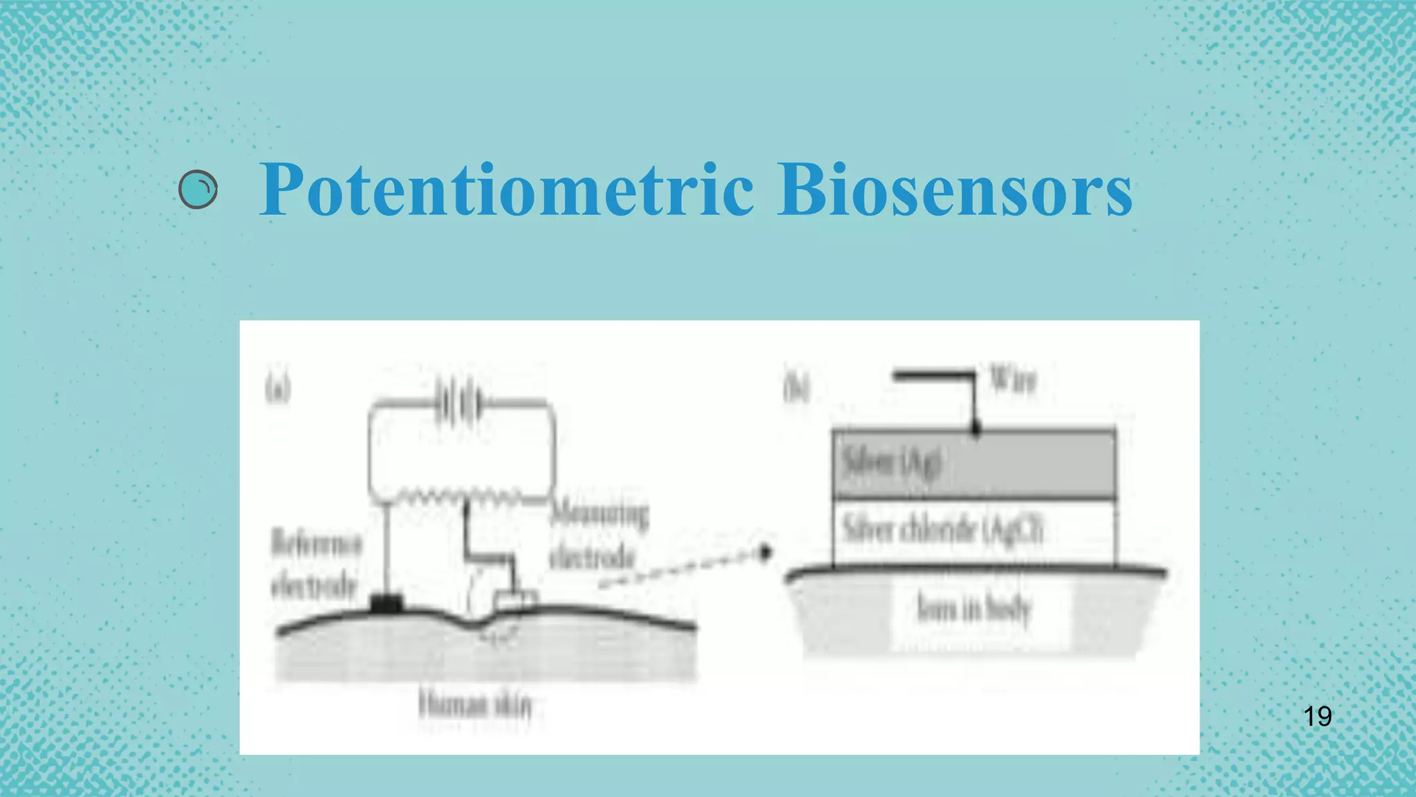 Potentiometric Sensor Pptx