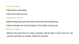 Growing of pots in plants | PDF