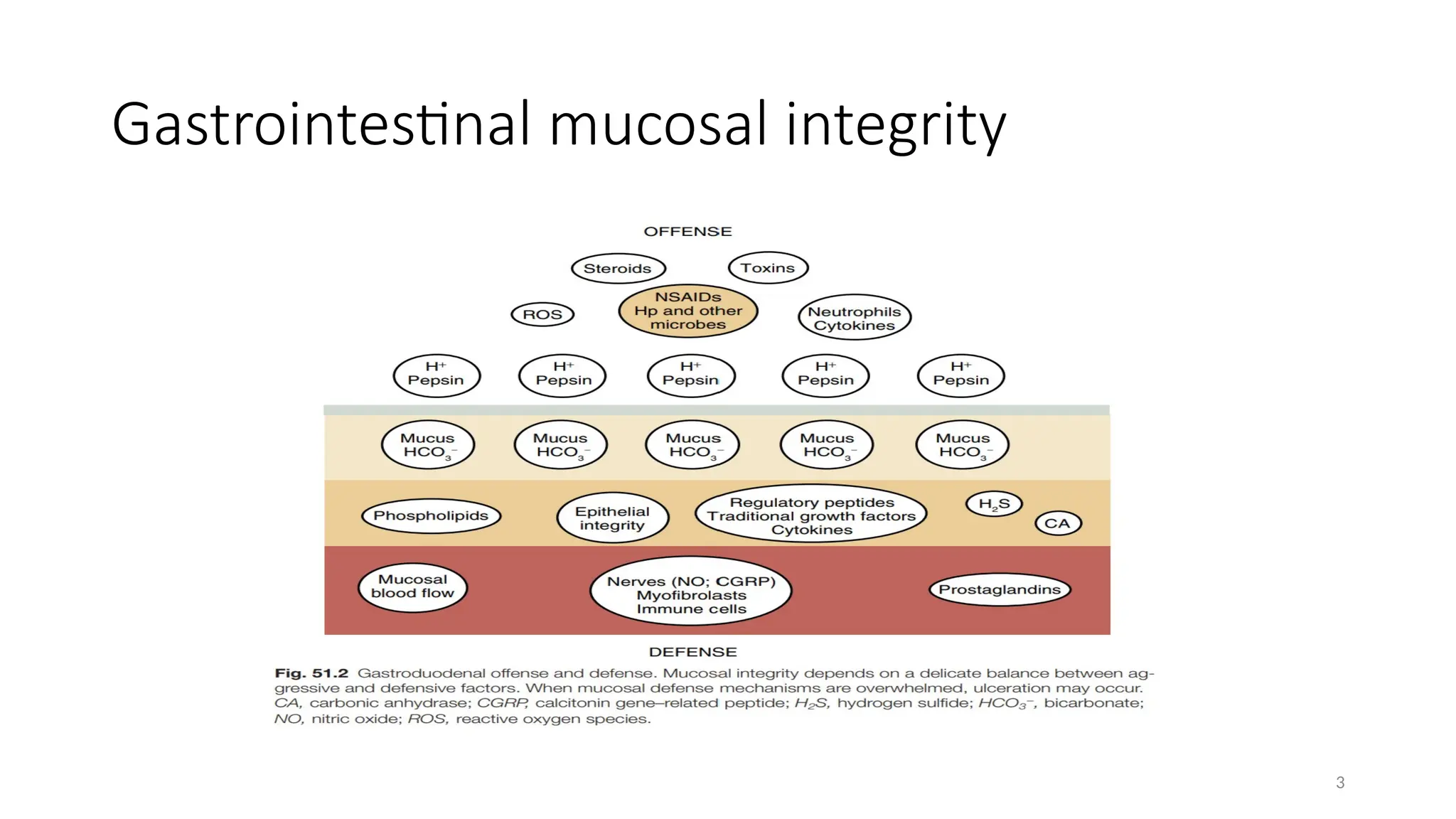 Potassium Competitive Acid Blockers (PCAB).pptx