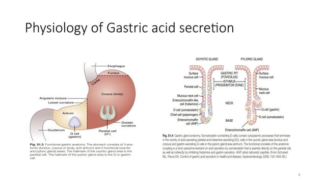 Potassium Competitive Acid Blockers (PCAB).pptx