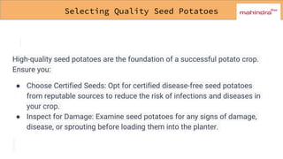 Pottato planter | PPT