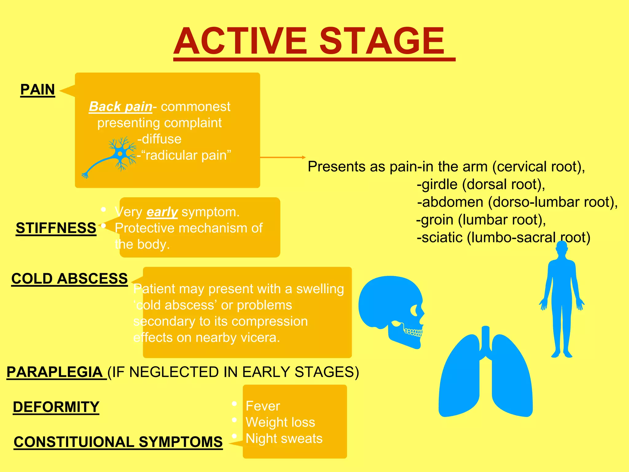 Pott's disease ppt | PPTX