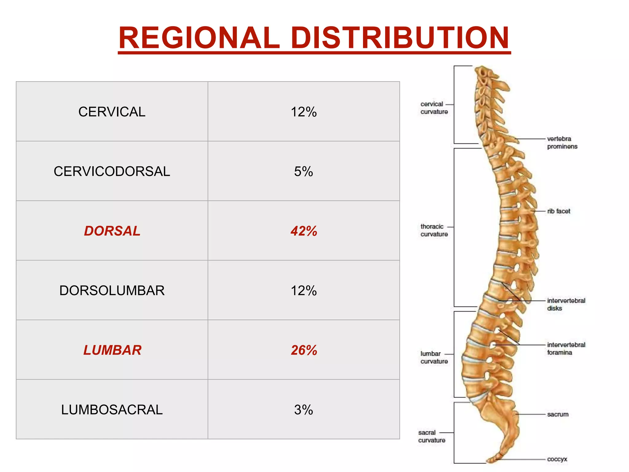 Pott's disease ppt | PPTX