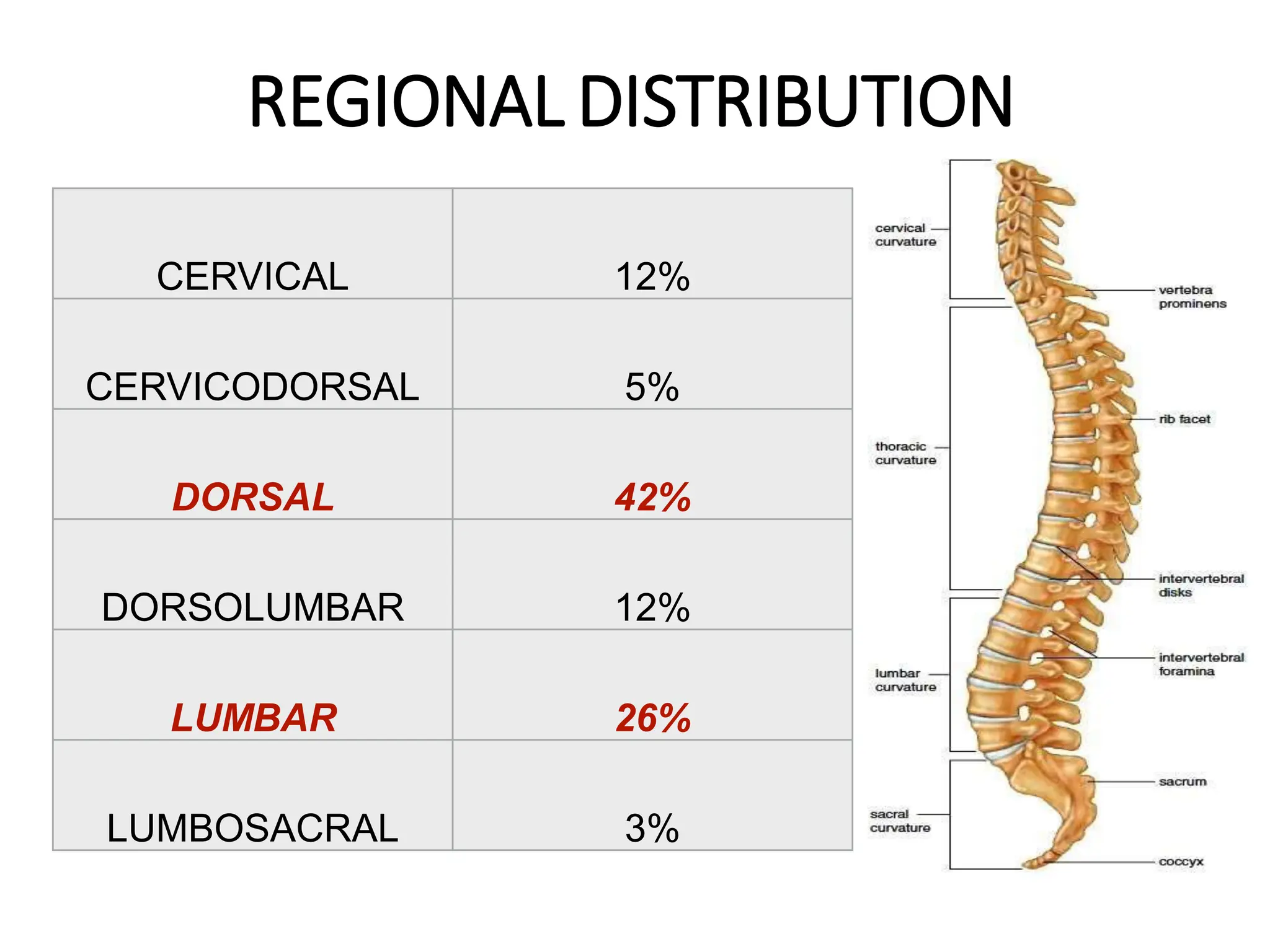 Pott's Spine. (Tuberculosis Spine) pptx | PPTX
