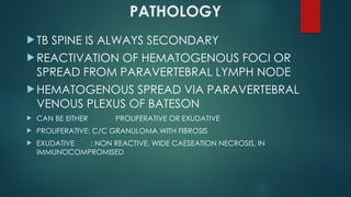 tubercular spine and management including surgical and medical | PPTX