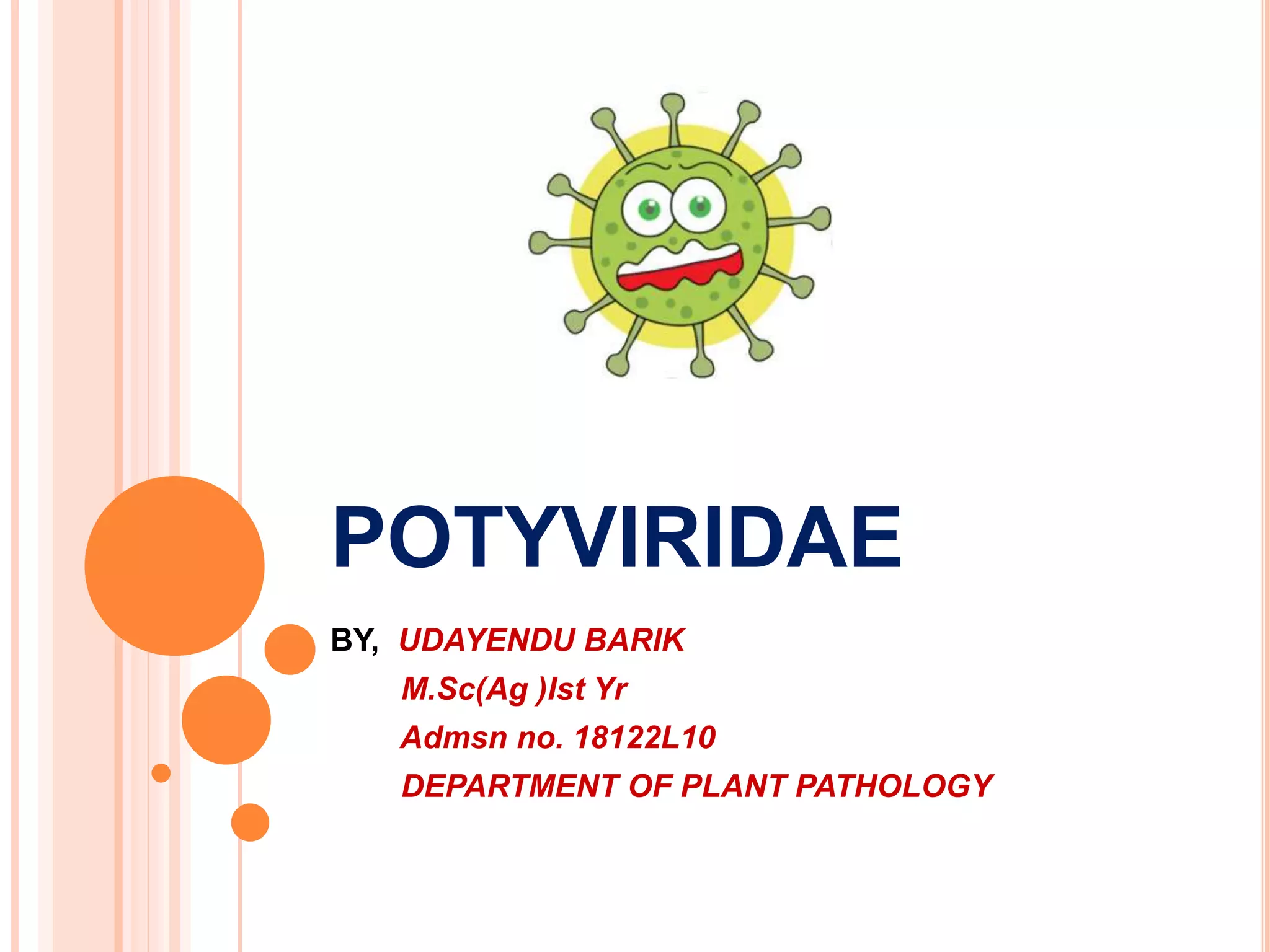 Potyviridae | PPTX