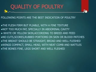 Poultry-Birds that we eat | PPT | Birdwatching | Hobbies & Interests