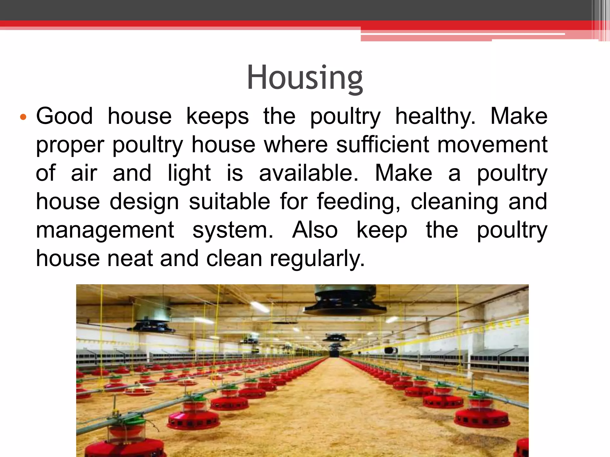 Poultry Farming and problems | PPT