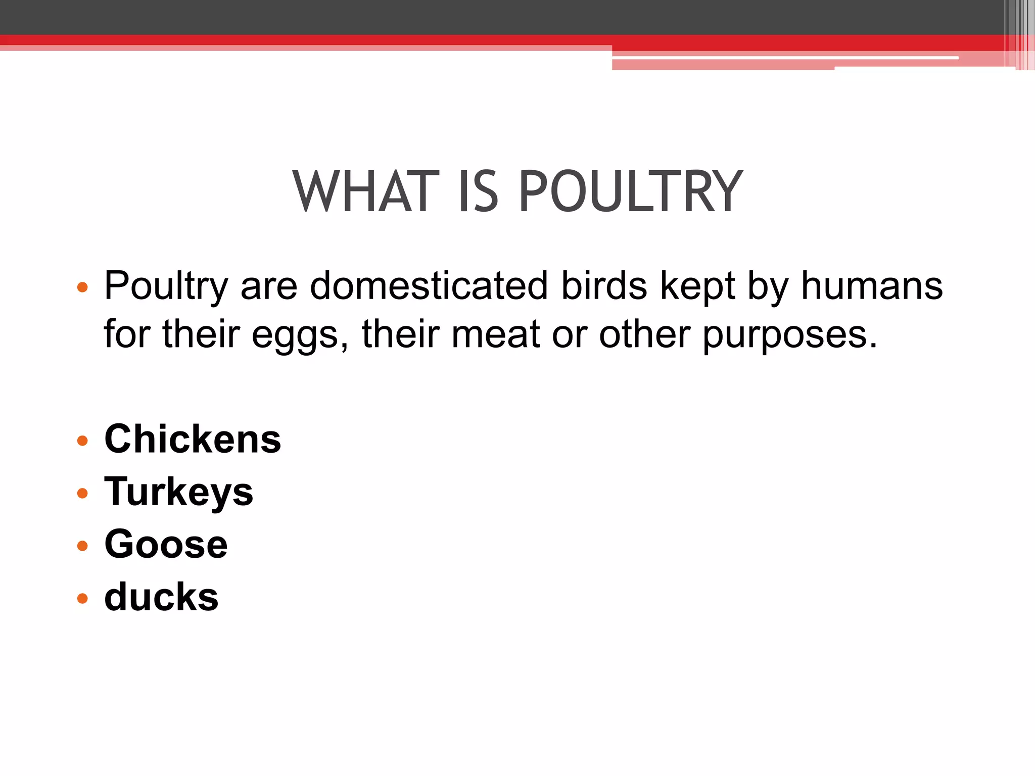 Poultry Farming and problems | PPT