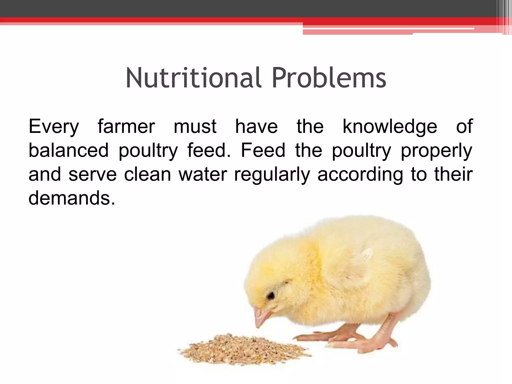 Poultry Farming and problems | PPT